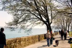 Animea Médiation Animale Les Mayons (adresse, avis, coordonnées ...