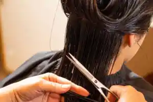 Coiffeurs À Domicile Près De Aunou-Sur-Orne (61500) – Horaires Et Avis