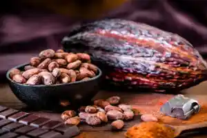 Chocolaterie / confiserie Sully (60380) – contacter, localiser, avis